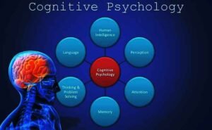 Cognitive Psychology - MaPuPa